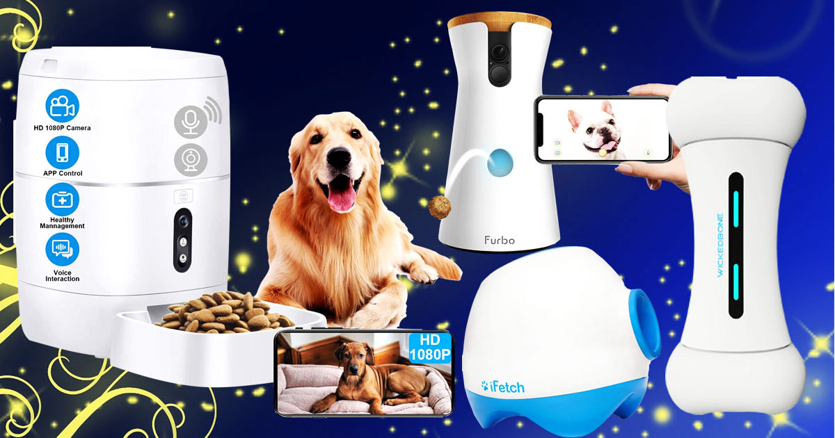 5 Gadgets That'll Keep Your Dog Happy And Skipping Along